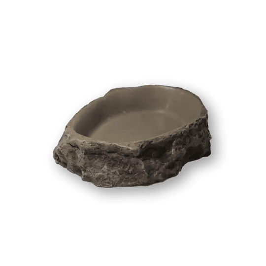 Reptile Dishes: Top Brands, Low Prices | Petworld