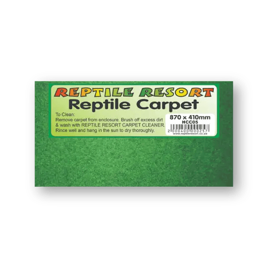 Reptile Accessories: Top Brands, Low Prices | Petworld